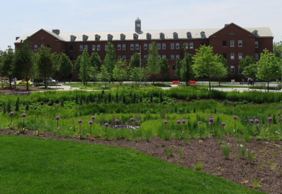 5 Facts to Celebrate Central Green’s 5-Year Anniversary - Navy Yard